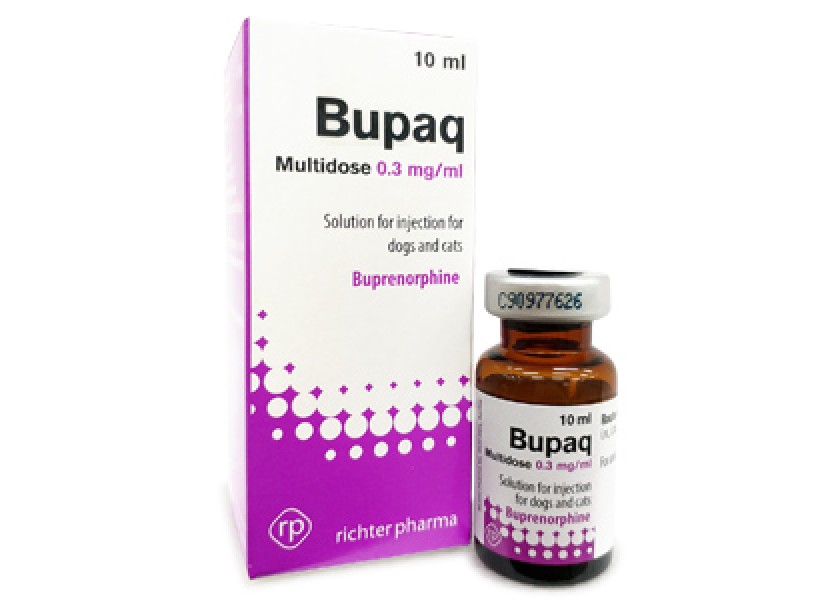 Bupaq multidose 0.3mg/ml (Buprenorphine HCL)